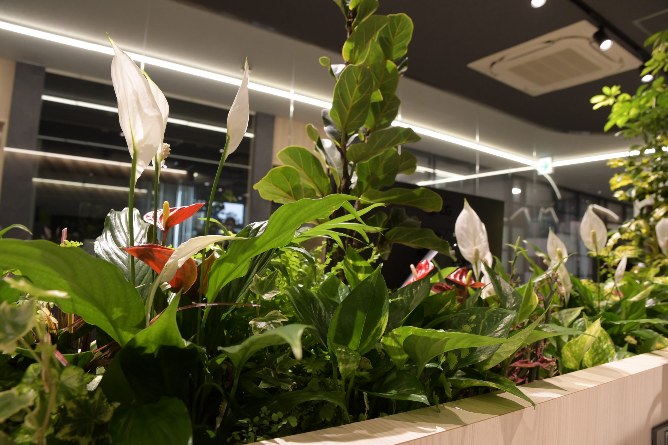 Introduction examples – Fill Green Co., Ltd. | Satisfying society with ...